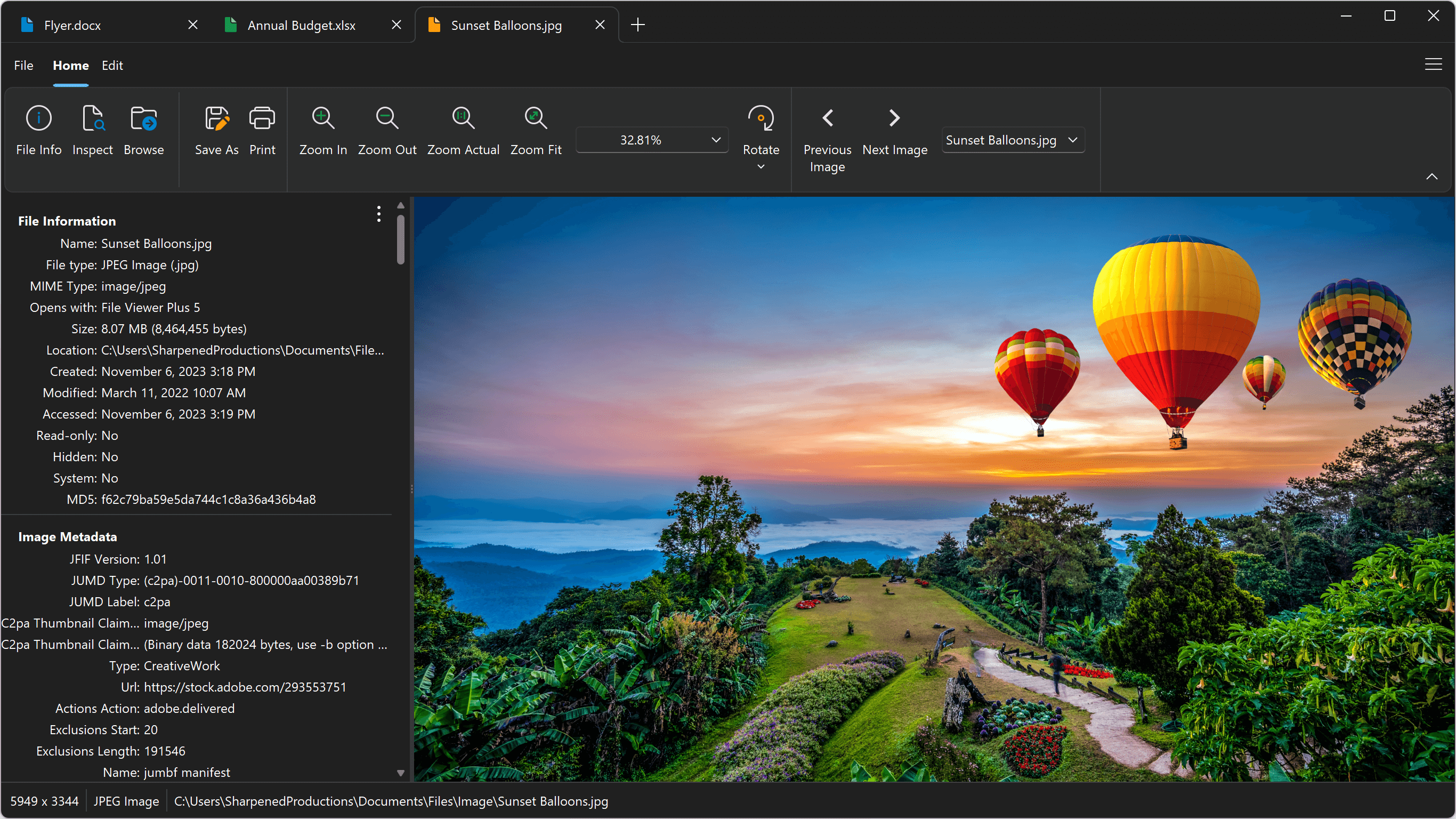 Download File Viewer Plus