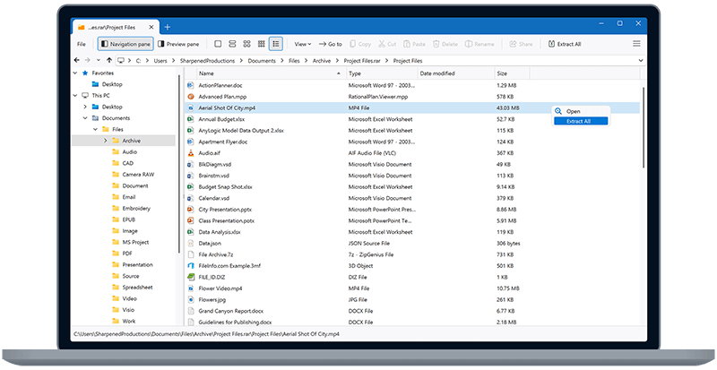 File Viewer Plus 6 - Open 400+ File Formats on Your Windows PC