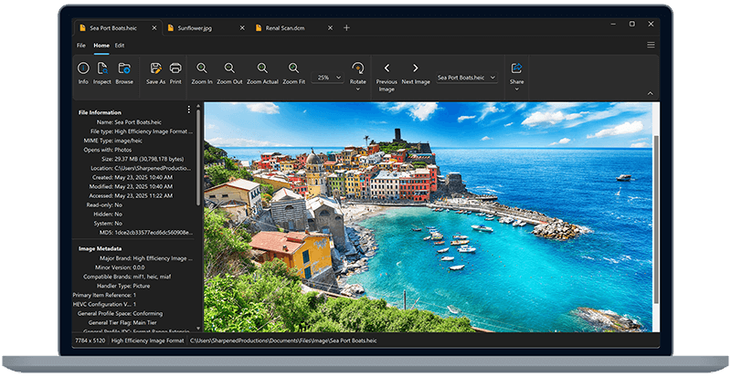 File Viewer Plus 6 - Open 400+ File Formats on Your Windows PC