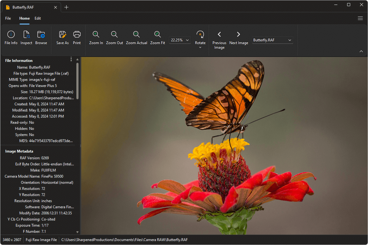 Open RAF Files With File Viewer Plus