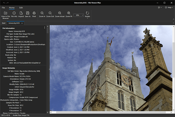 Open .DCR Files with File Viewer Plus