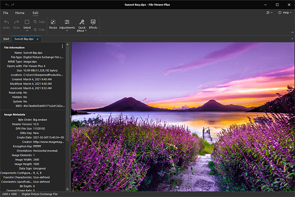 Open .DPX Files with File Viewer Plus
