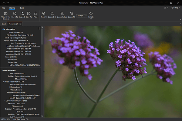 Open .RAF Files with File Viewer Plus