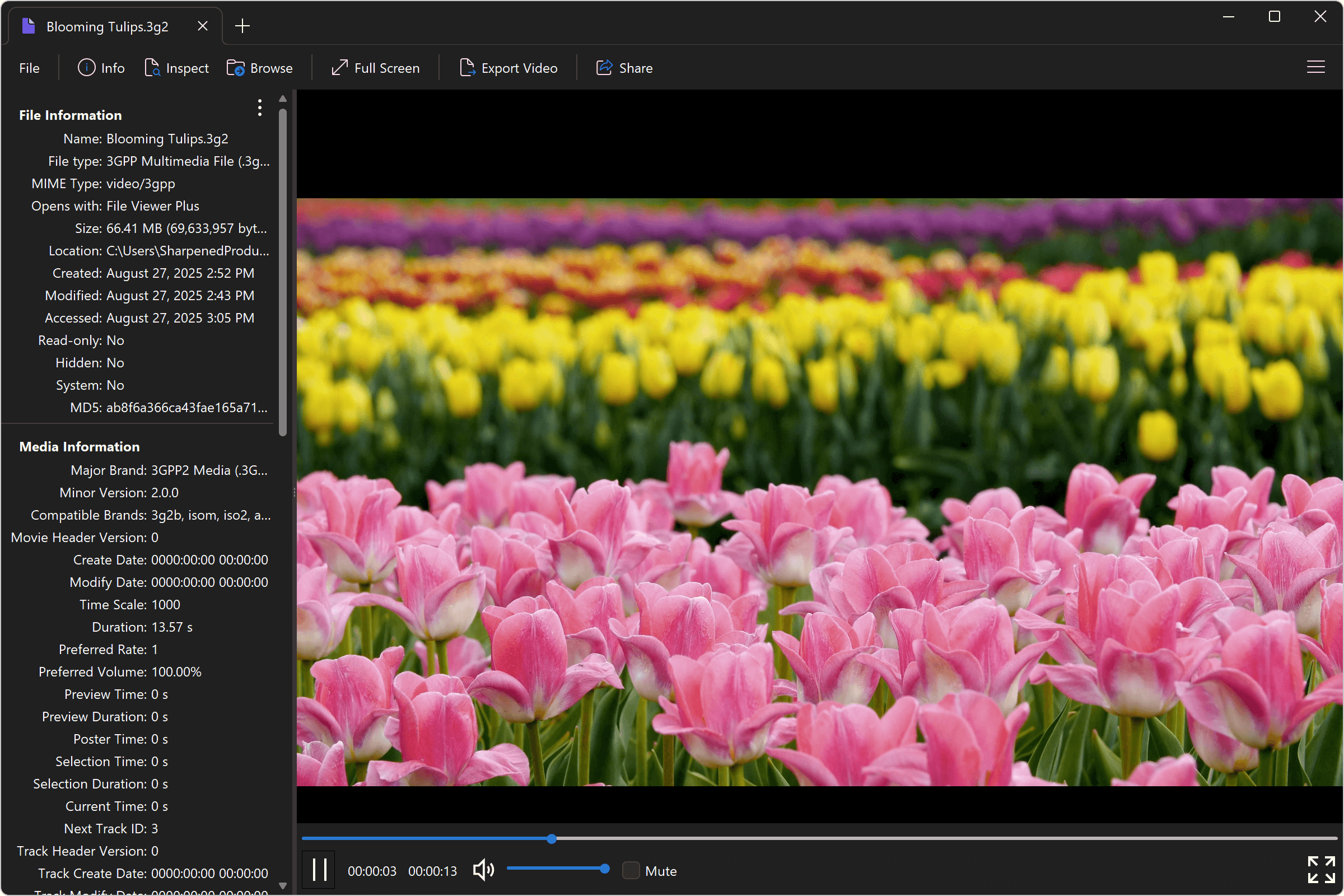 Open .3G2 Files with File Viewer Plus
