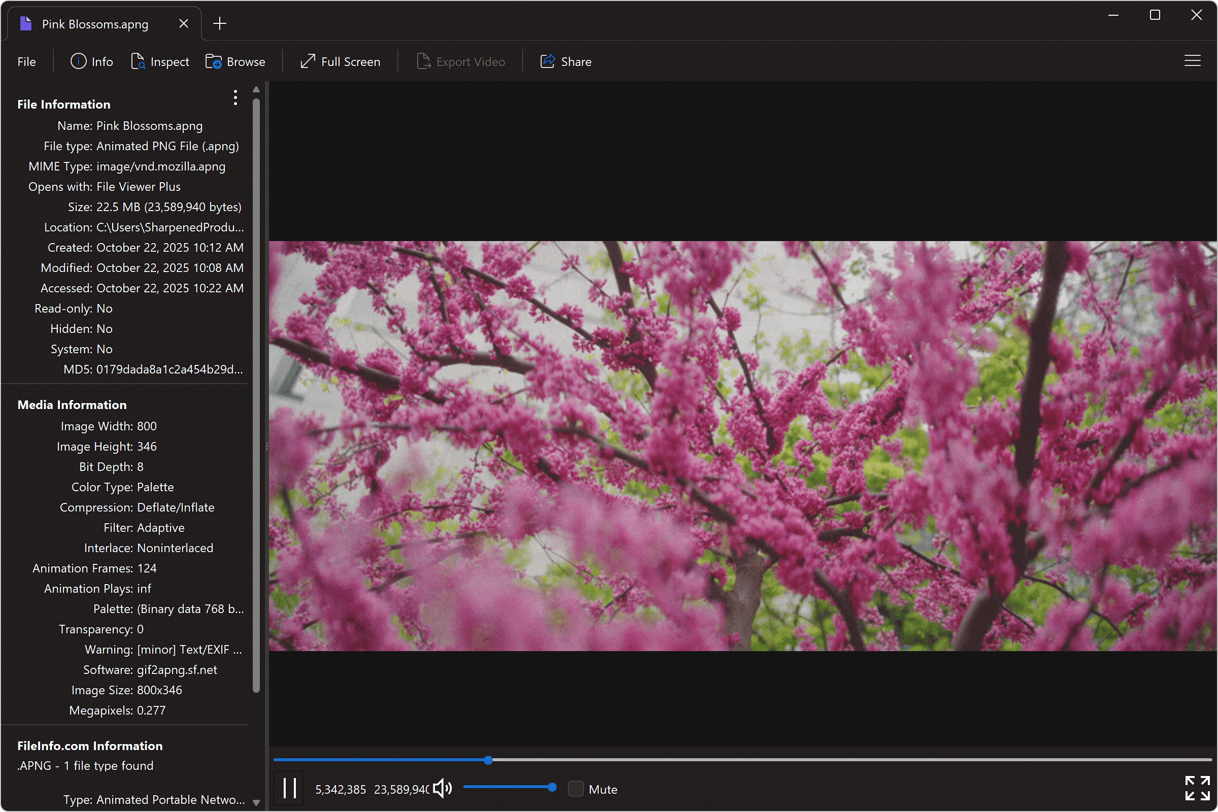 Open .APNG Files with File Viewer Plus