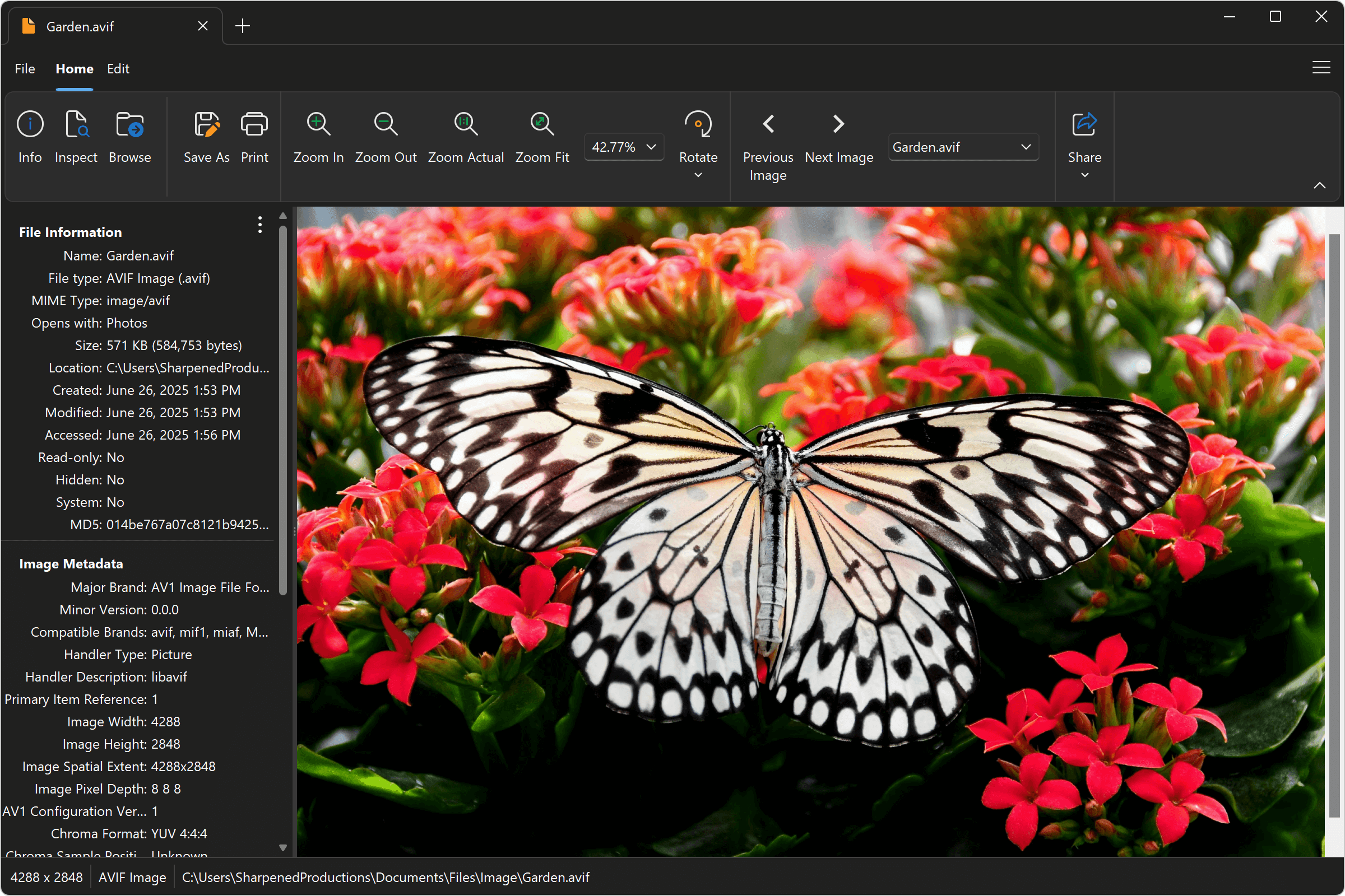Open .AVIF Files with File Viewer Plus