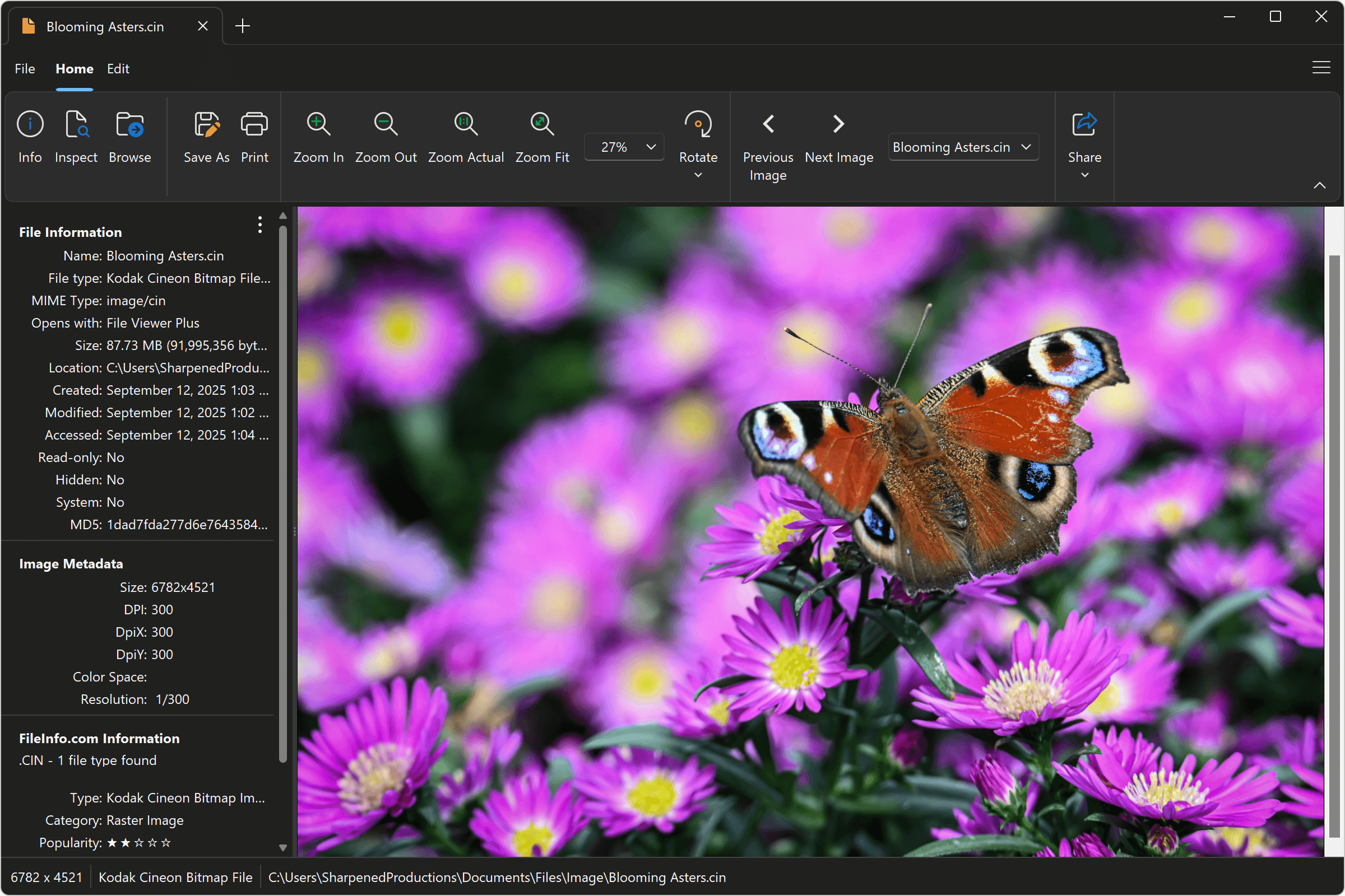 Open .CIN Files with File Viewer Plus