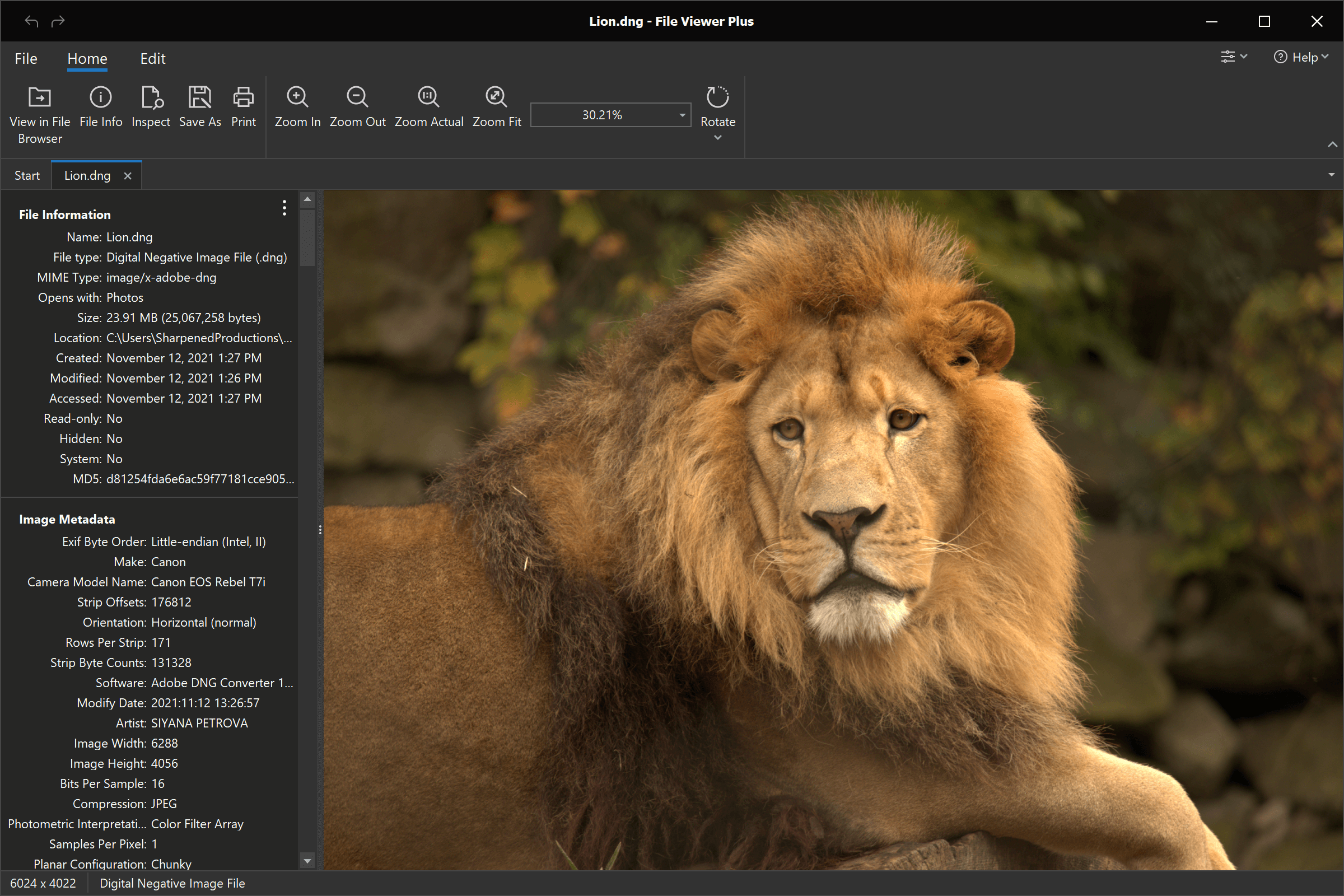 Open .DNG Files with File Viewer Plus