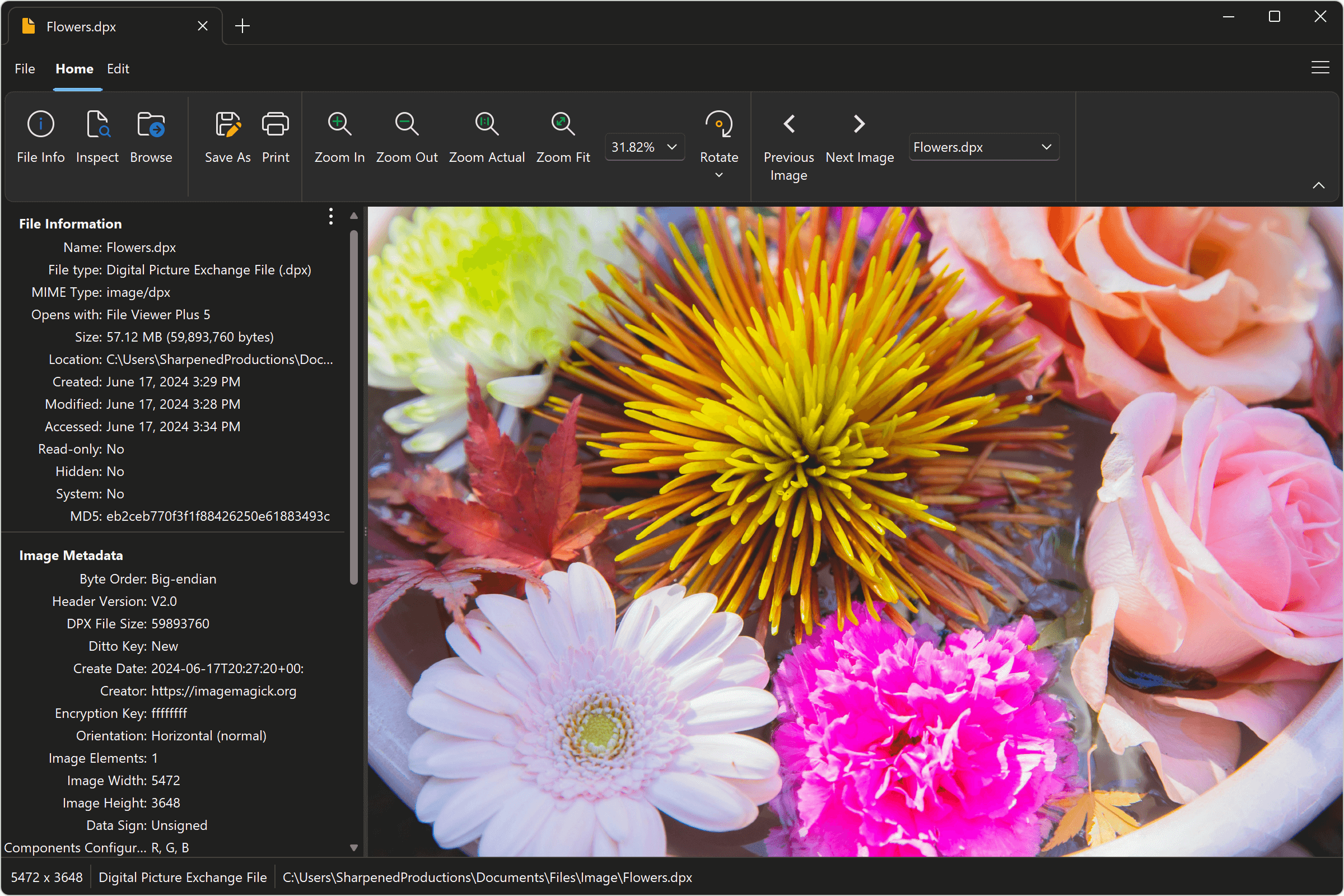Open .DPX Files with File Viewer Plus