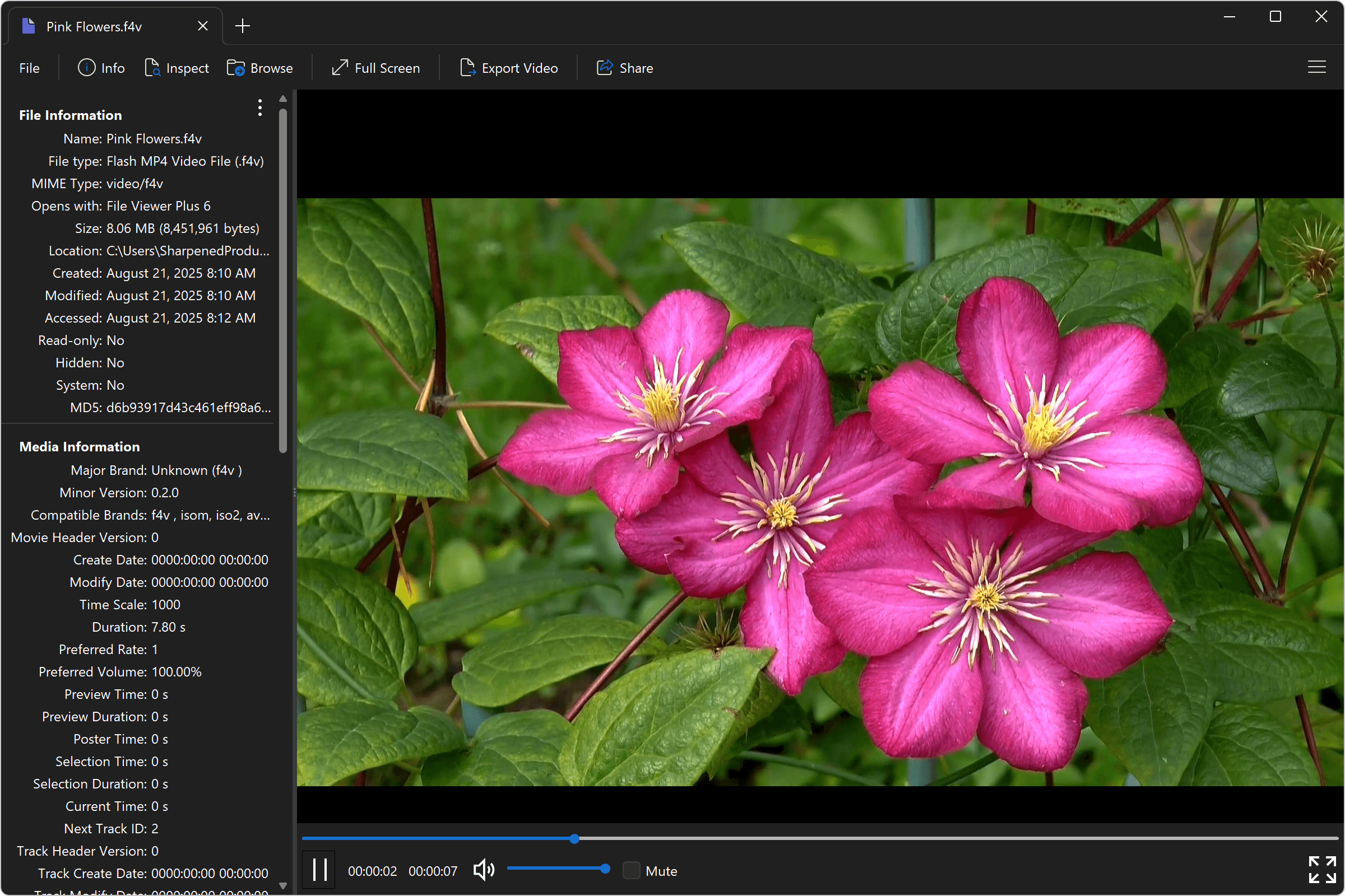 Open .F4V Files with File Viewer Plus