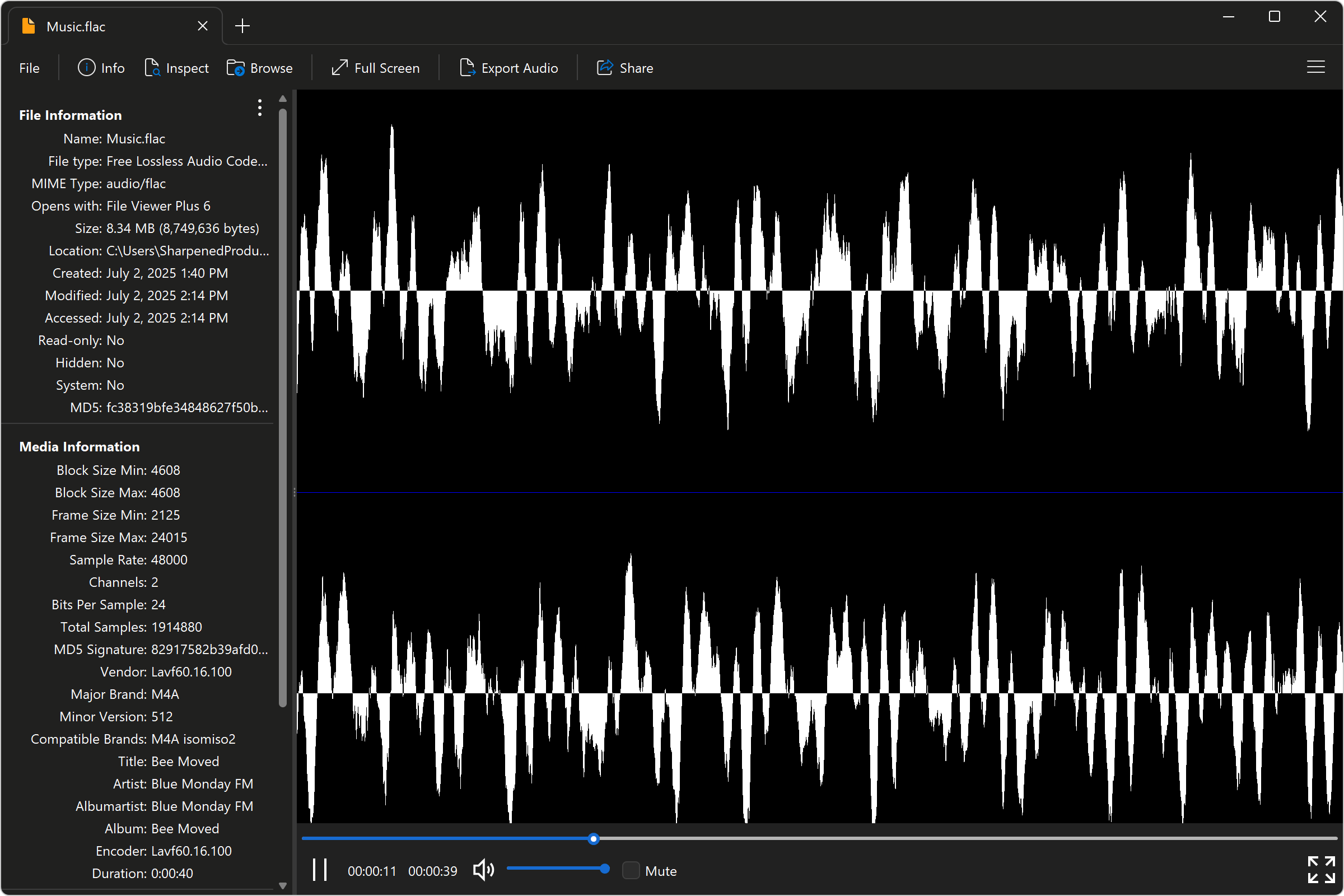 Open .FLAC Files with File Viewer Plus