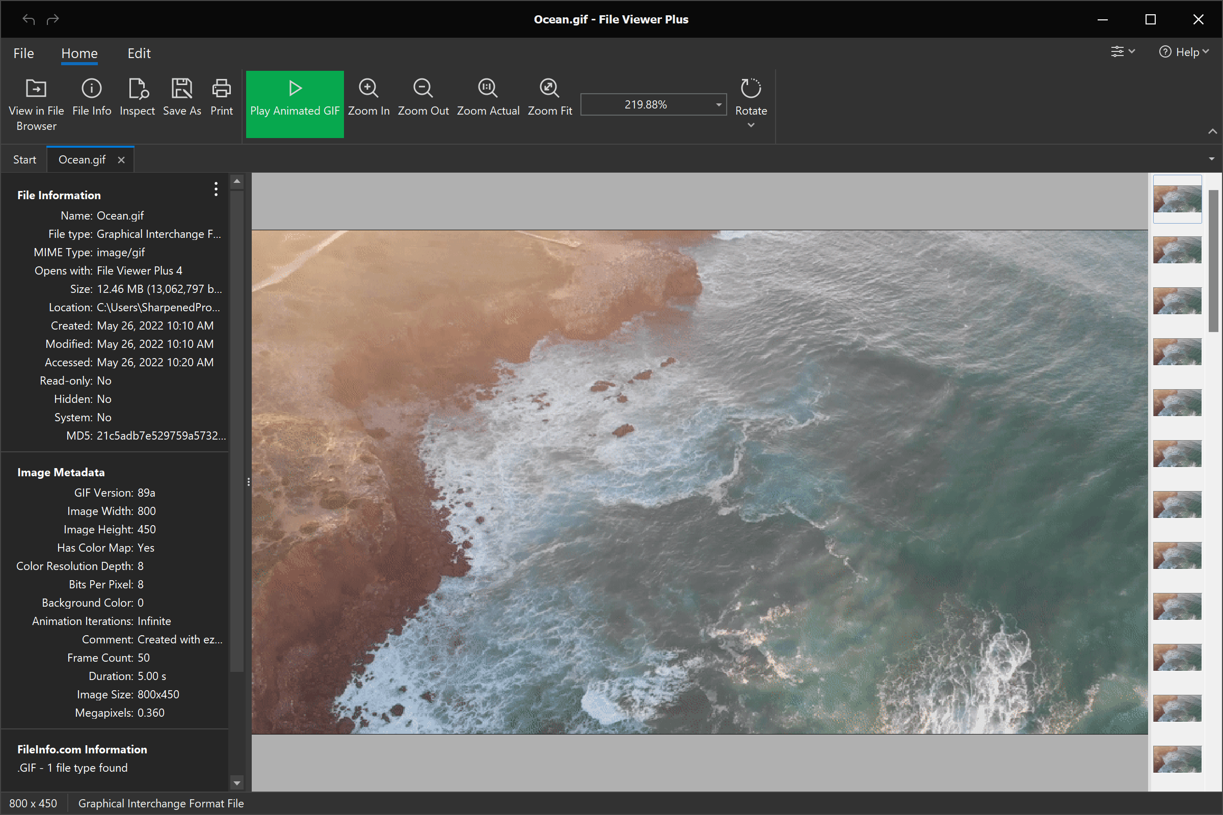 Open .GIF Files with File Viewer Plus