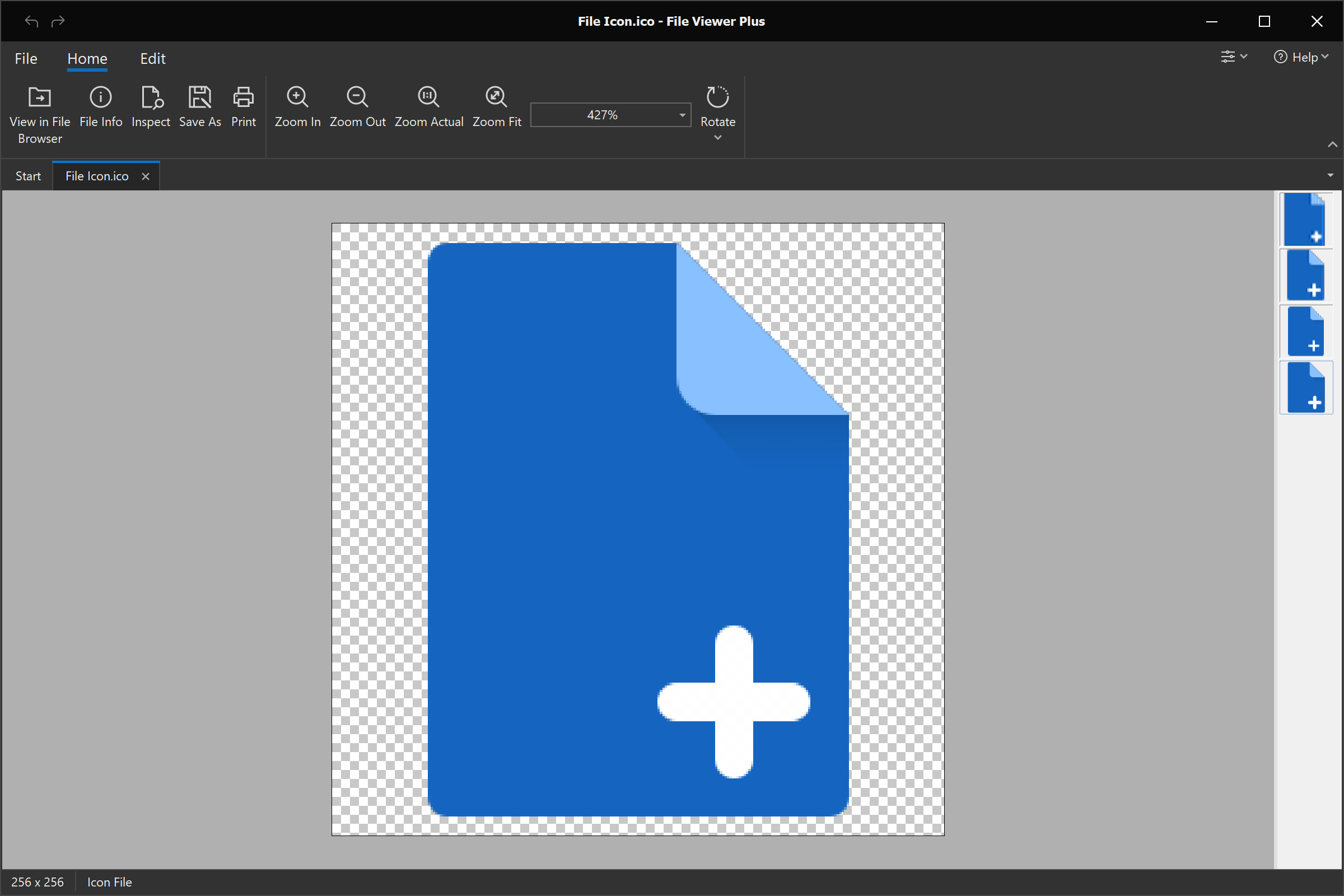 Open .ICO Files with File Viewer Plus