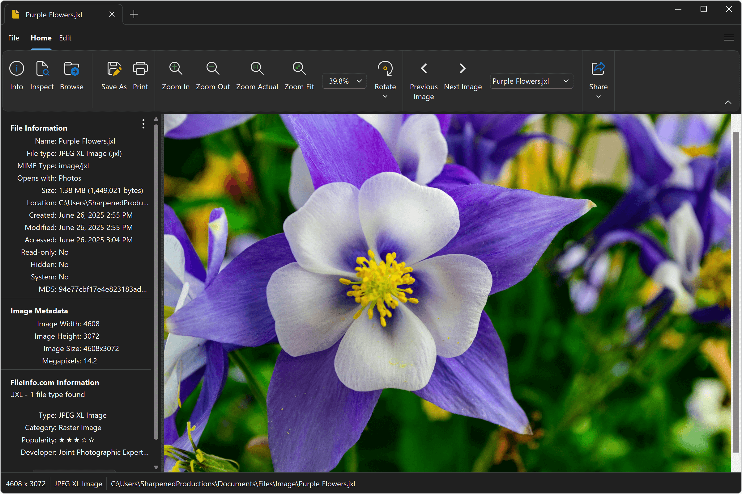 Open .JXL Files with File Viewer Plus