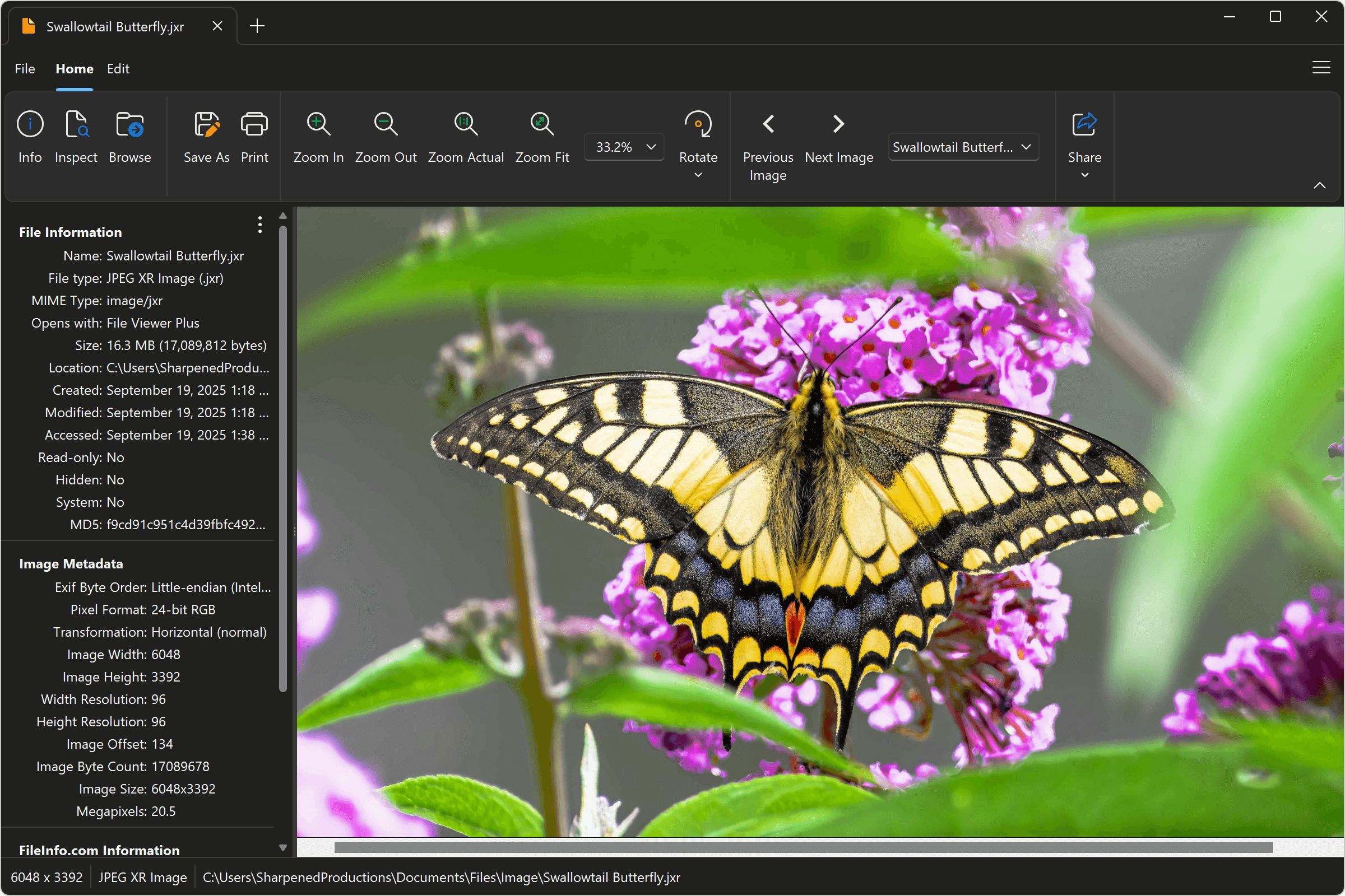 Open .JXR Files with File Viewer Plus