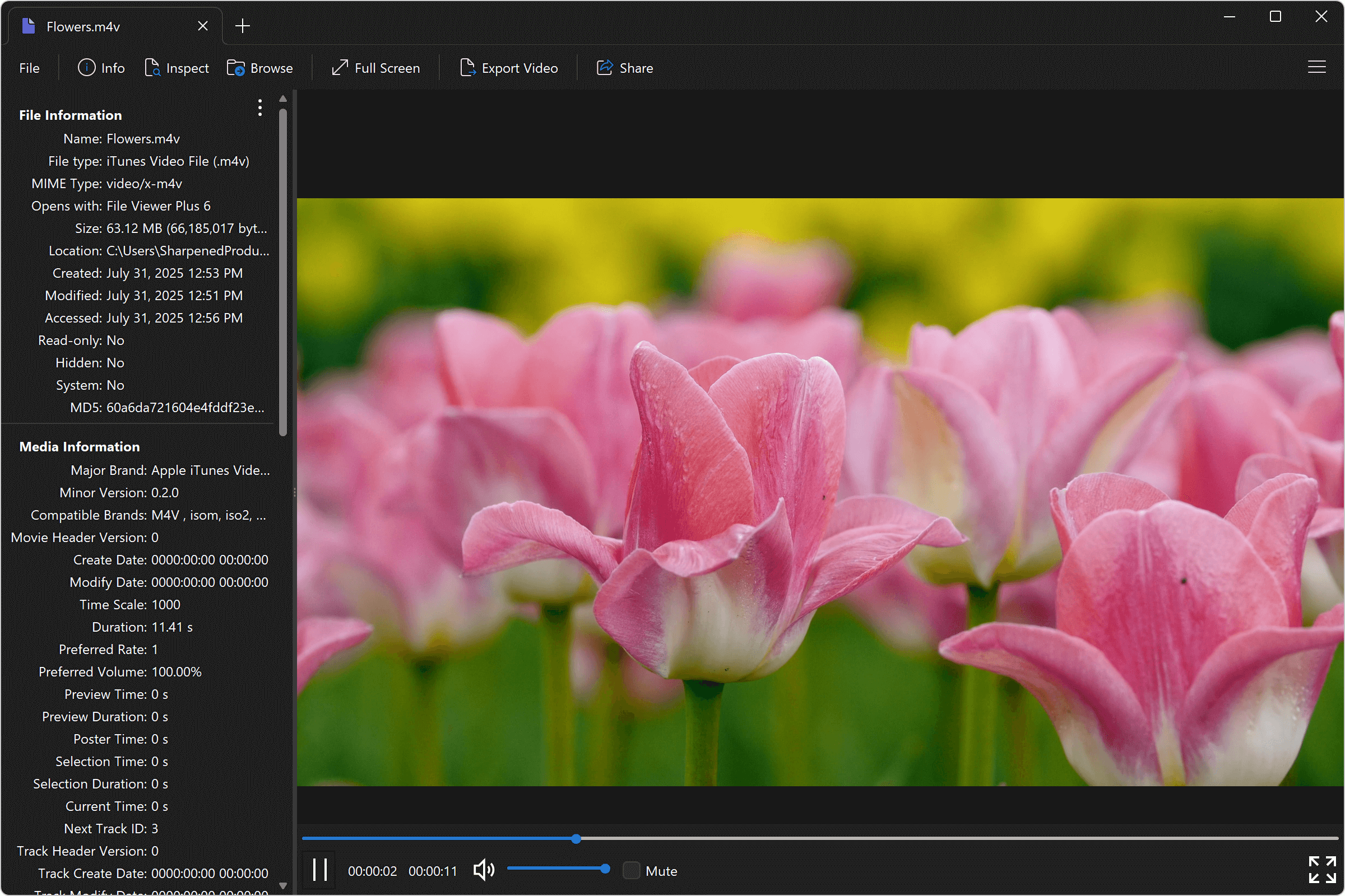 Open .M4V Files with File Viewer Plus