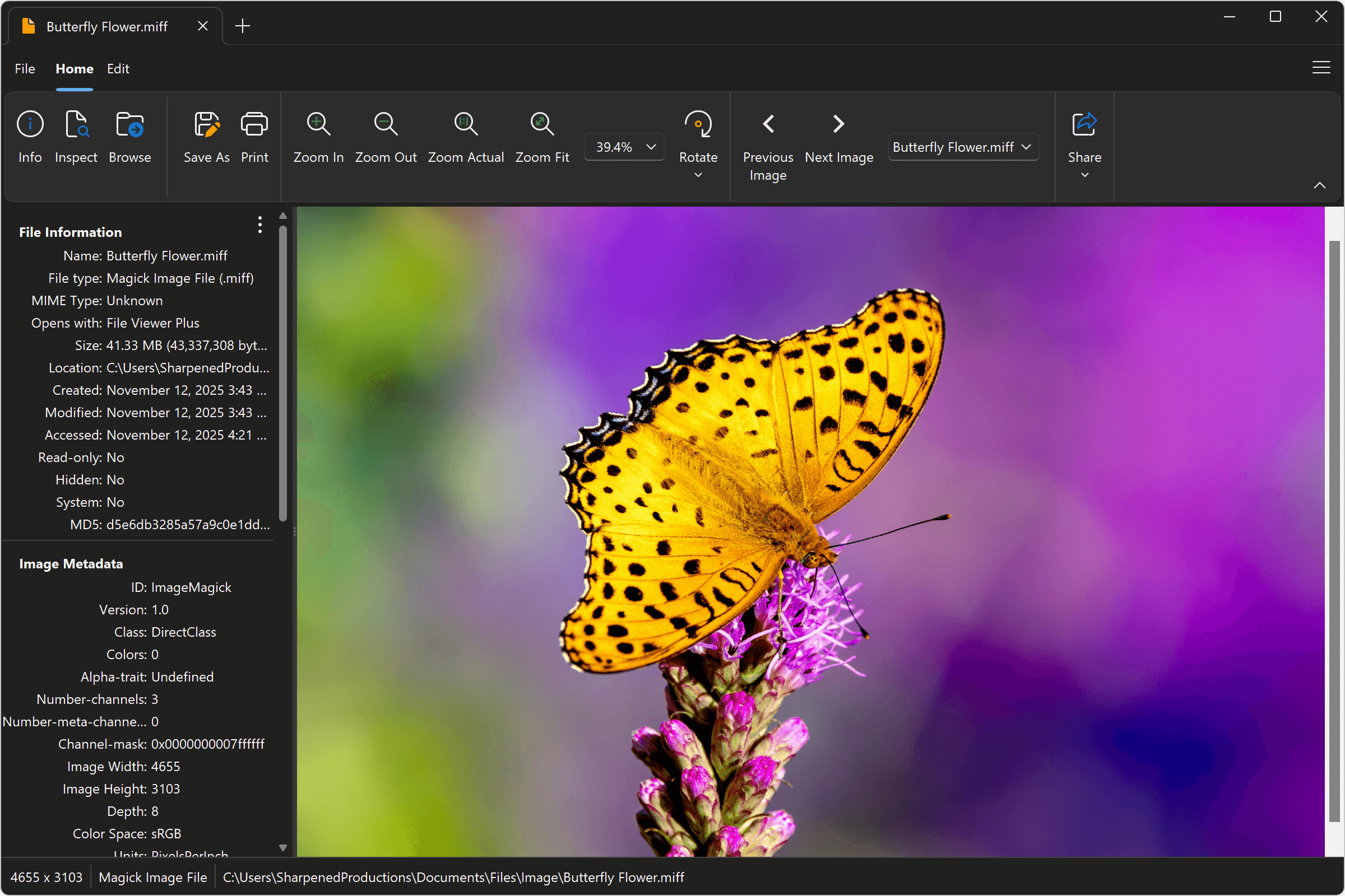 Open .MIFF Files with File Viewer Plus