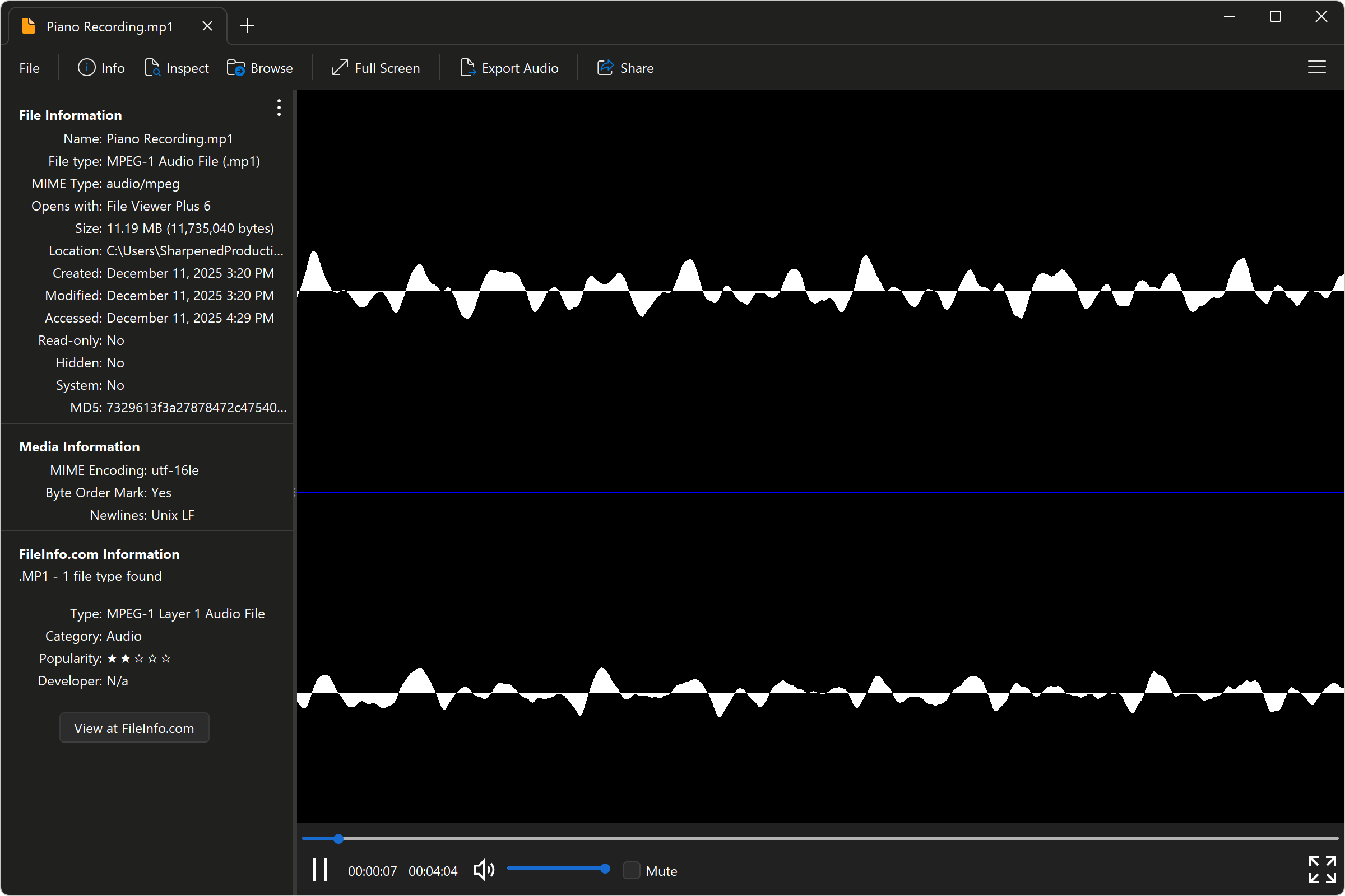Open .MP1 Files with File Viewer Plus