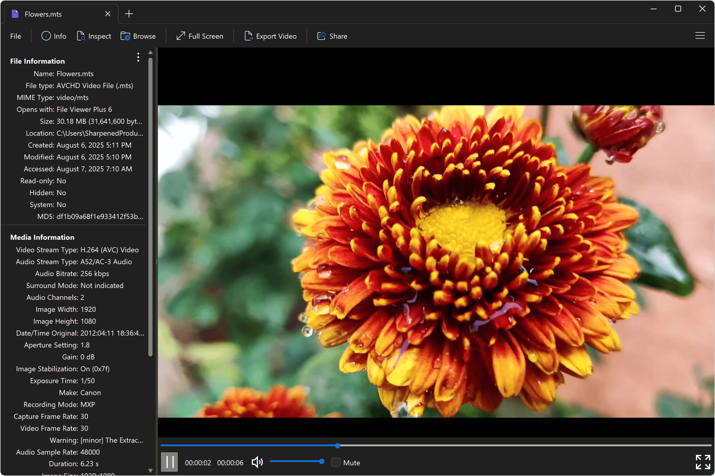 Open .MTS Files with File Viewer Plus