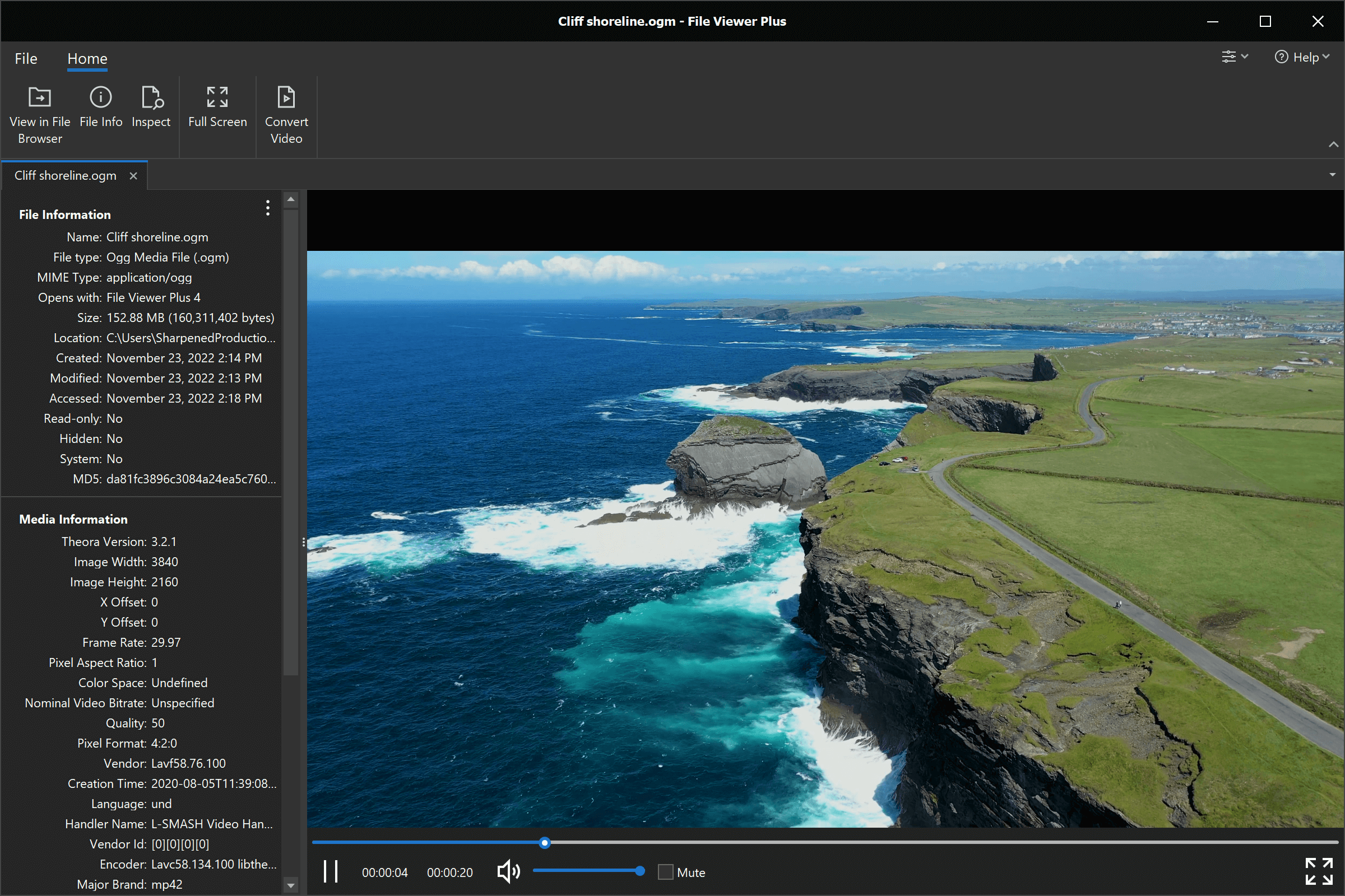 Open .OGM Files with File Viewer Plus