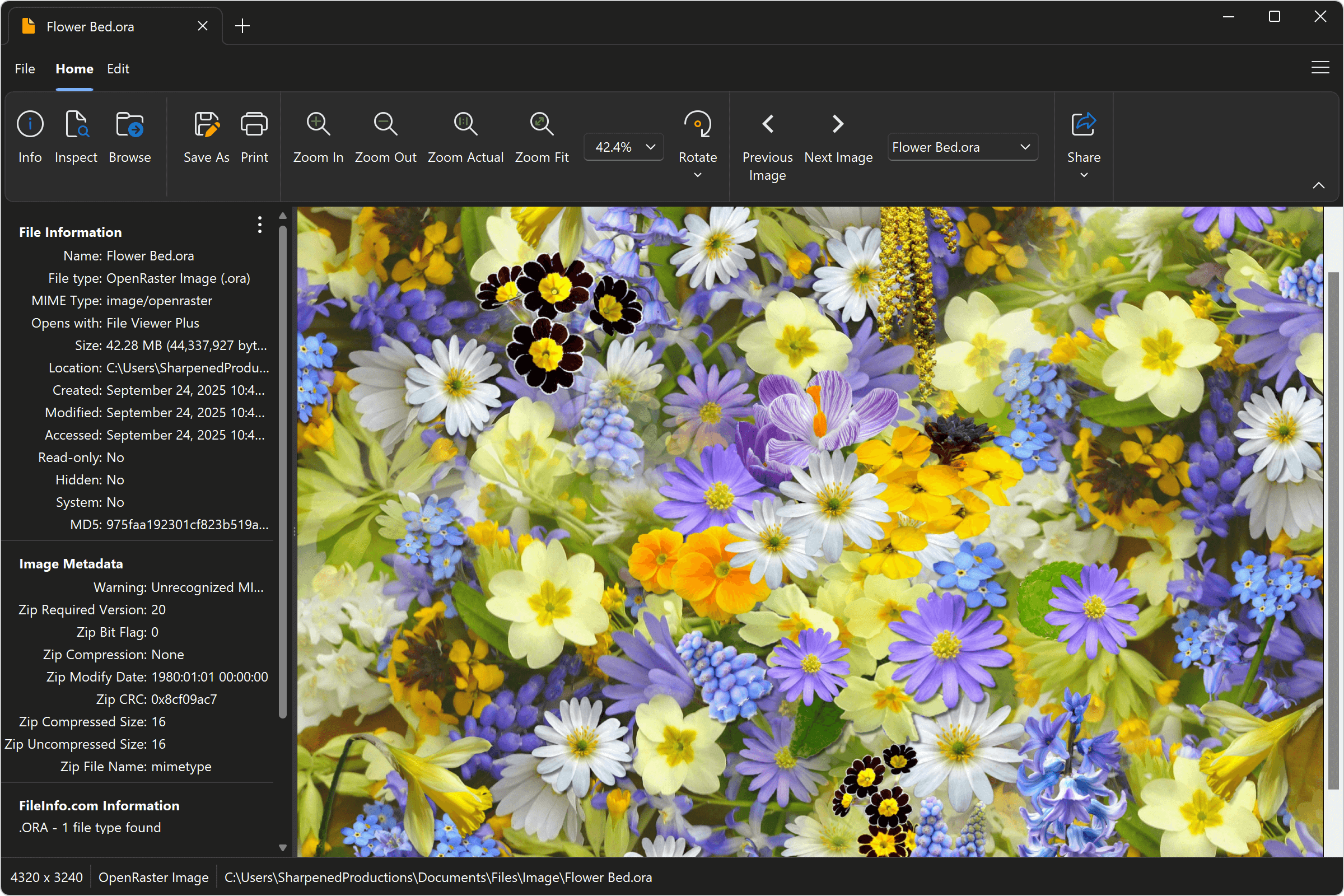 Open .ORA Files with File Viewer Plus