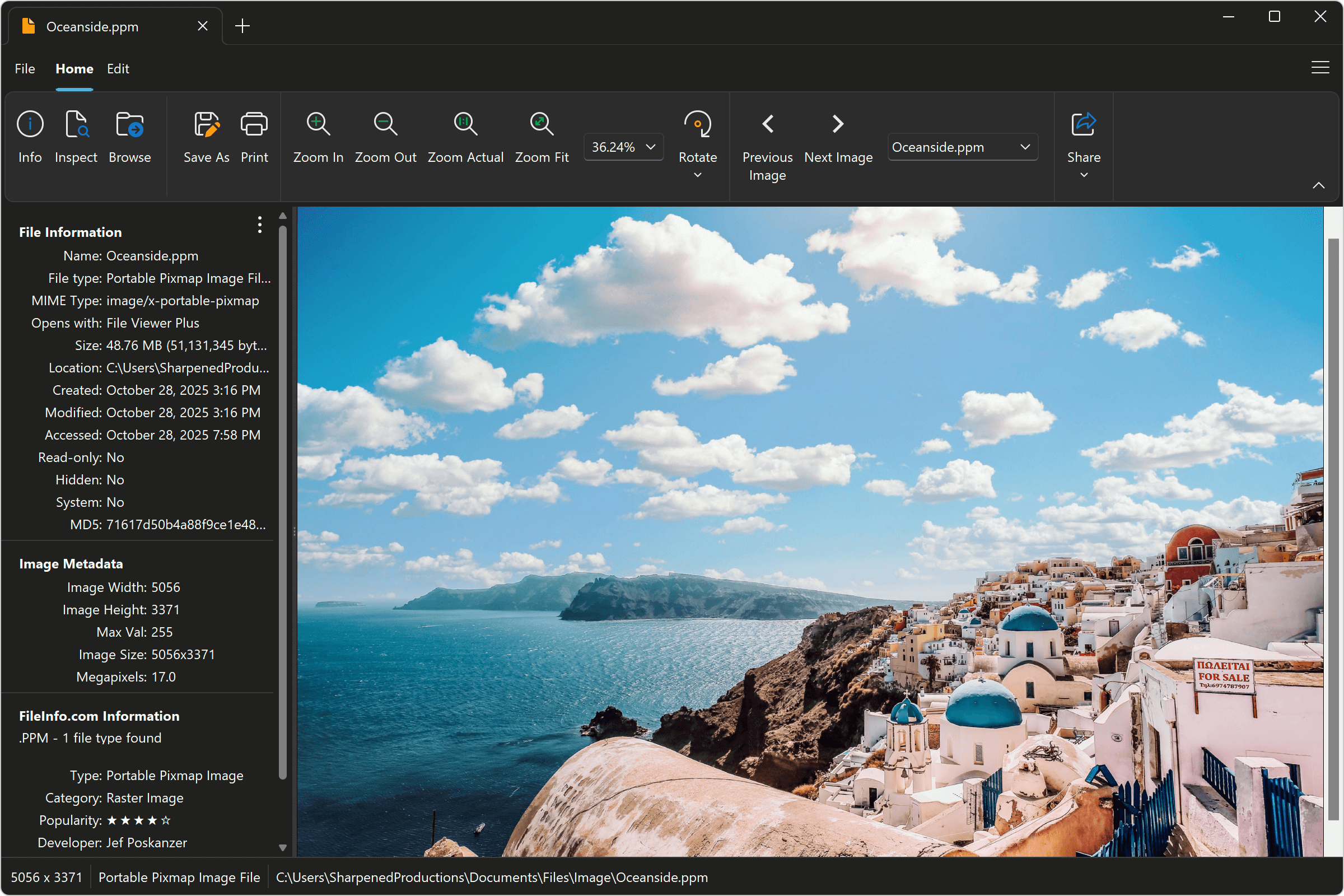 Open .PPM Files with File Viewer Plus