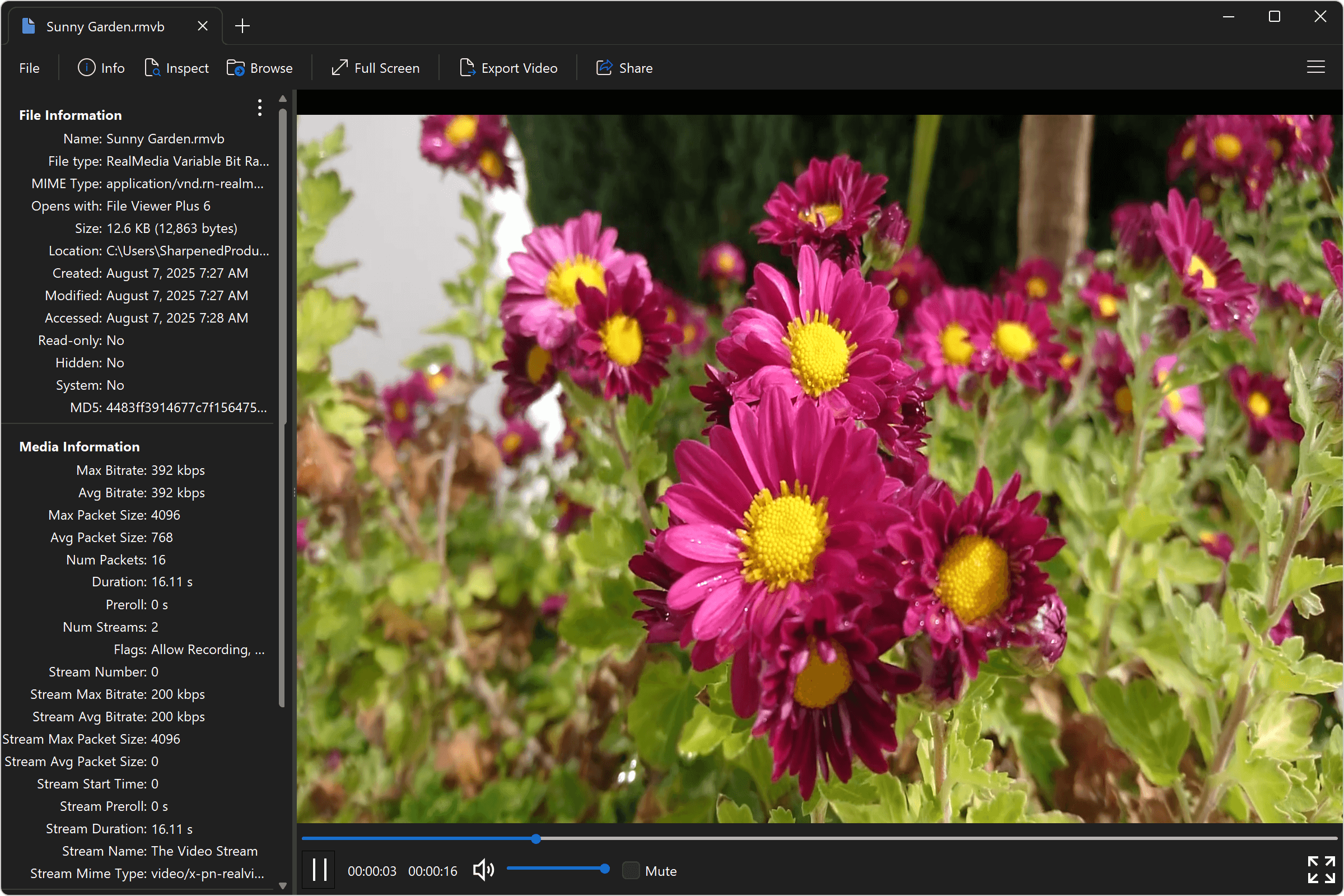Open .RMVB Files with File Viewer Plus