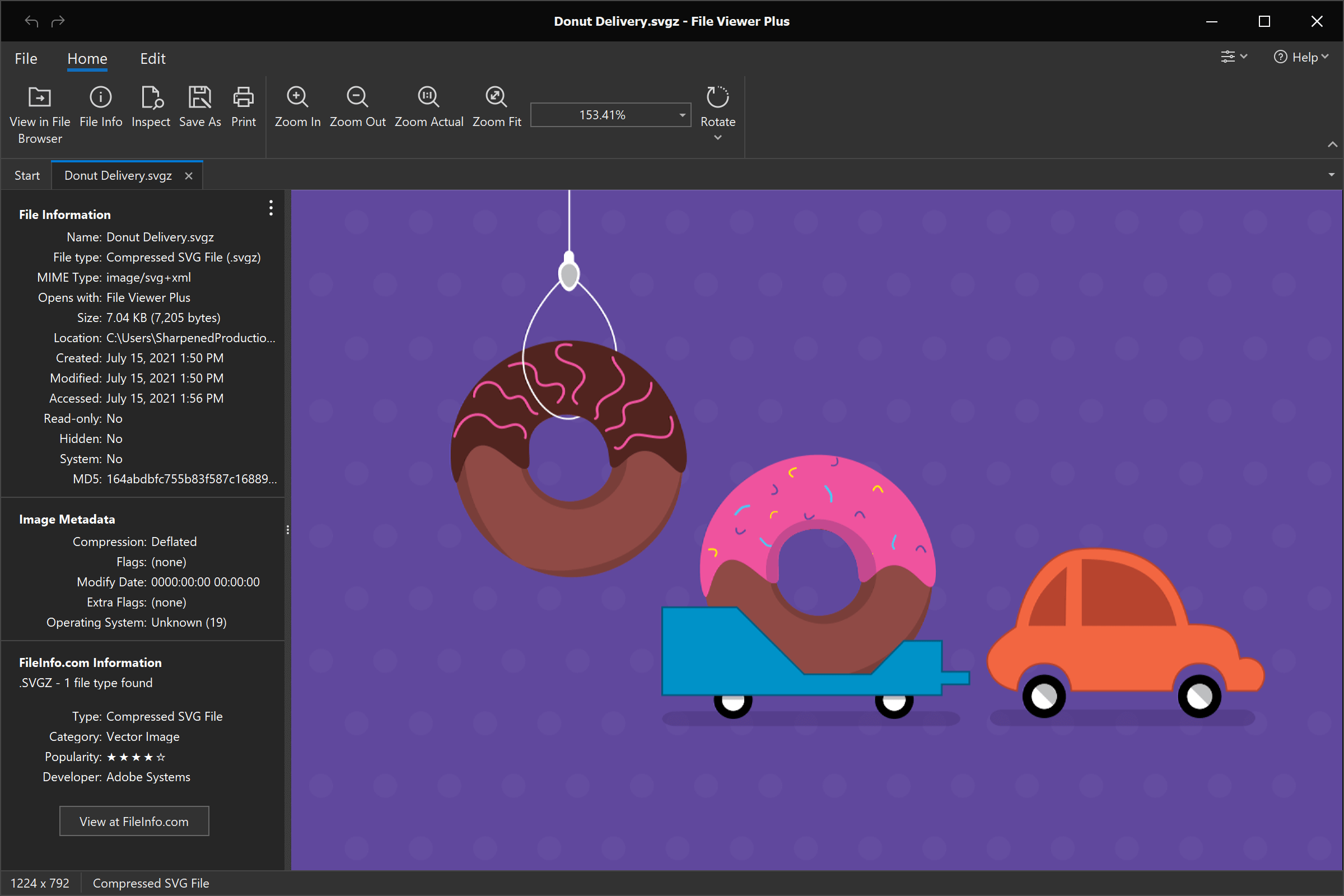 Open .SVGZ Files with File Viewer Plus