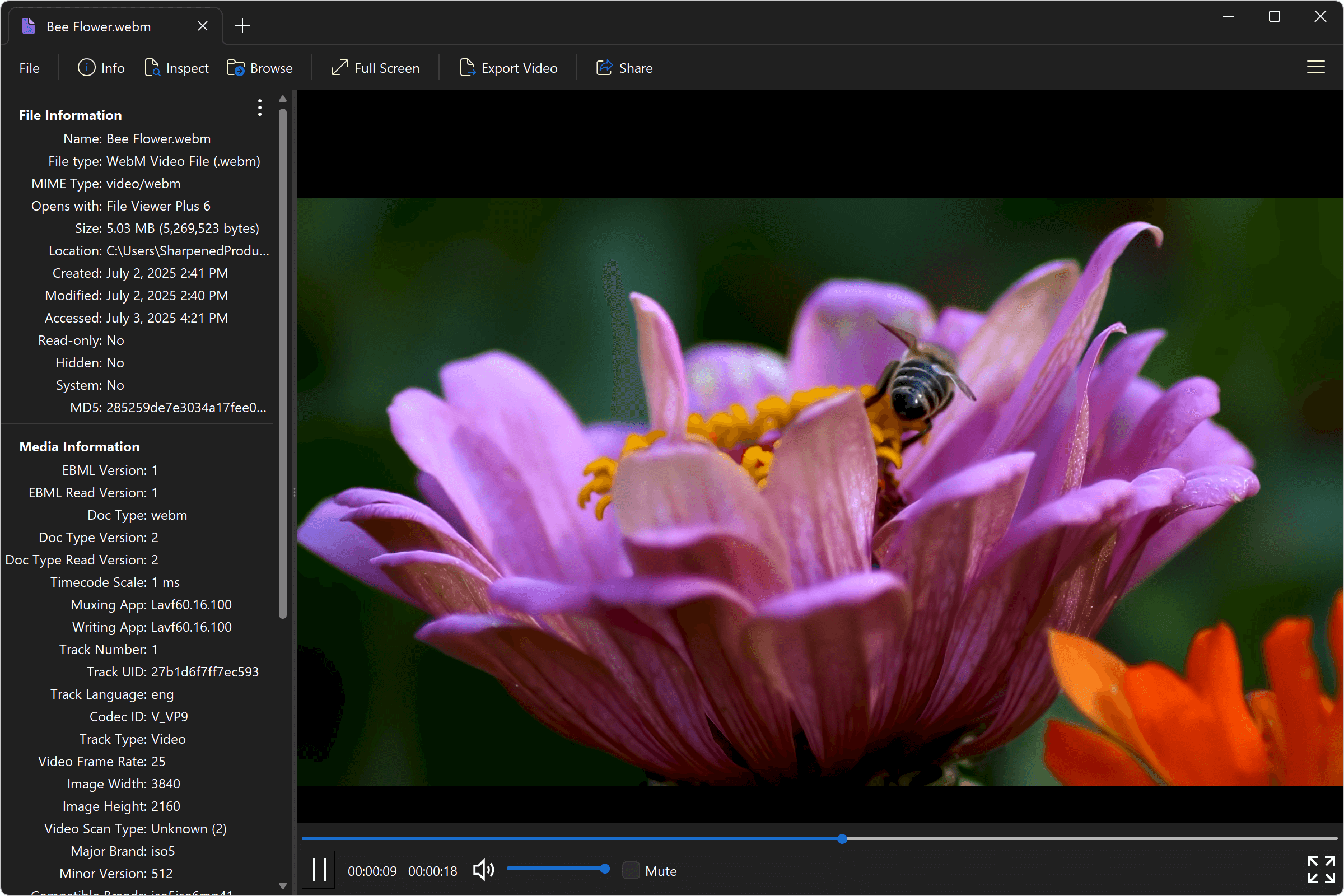 Open .WEBM Files with File Viewer Plus