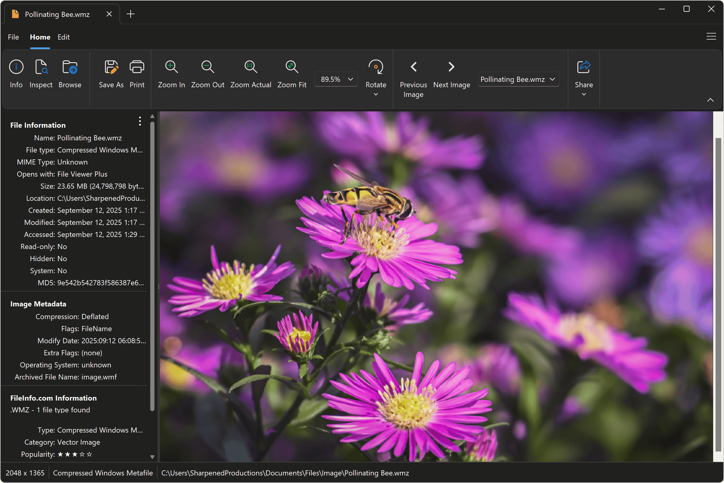 Open .WMZ Files with File Viewer Plus