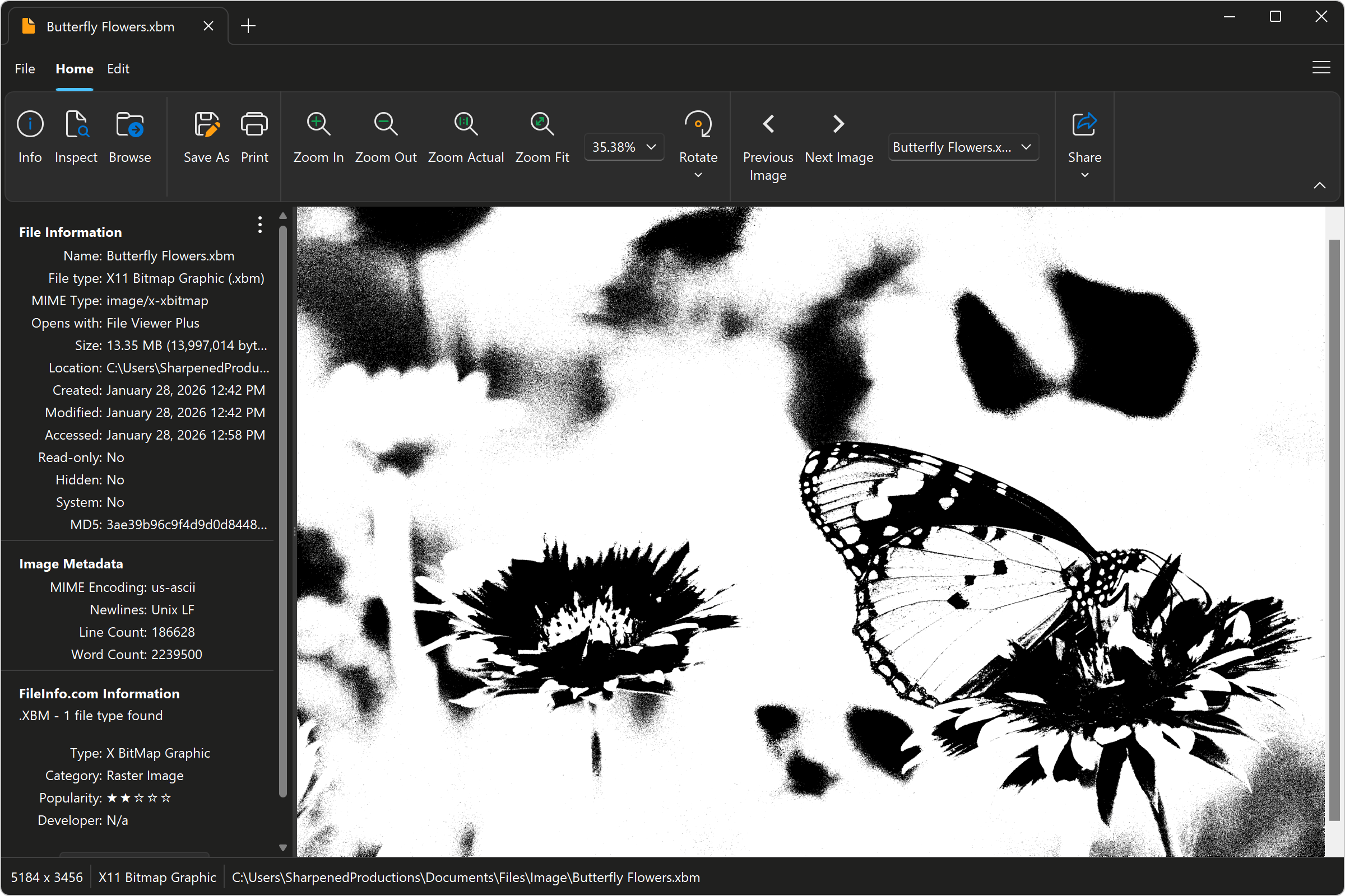 Open .XBM Files with File Viewer Plus